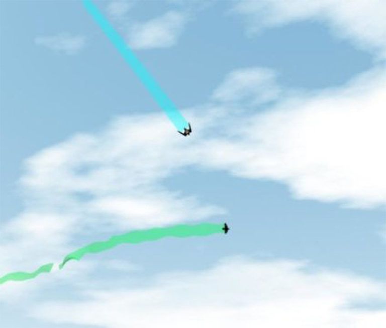 Fast Dives Help Peregrine Falcons Maneuver to Catch Agile Prey