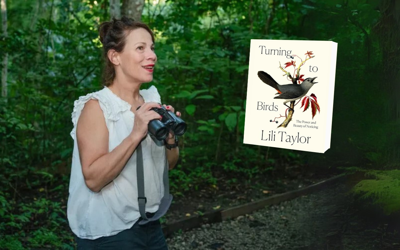 Turning to Birds: The Power and Beauty of Noticing by Lili Taylor: An ...